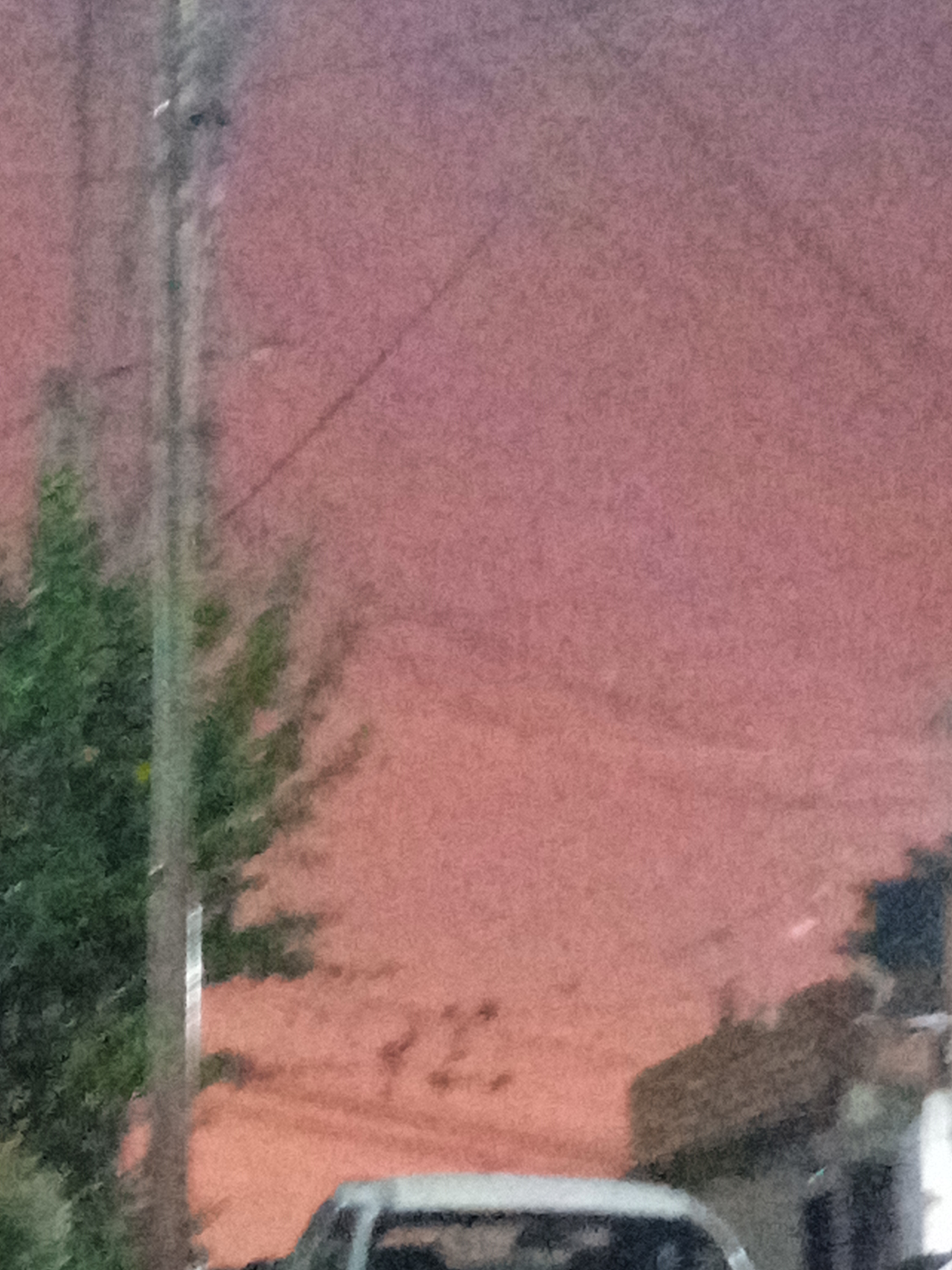 Il Mondo · App IA gratuita