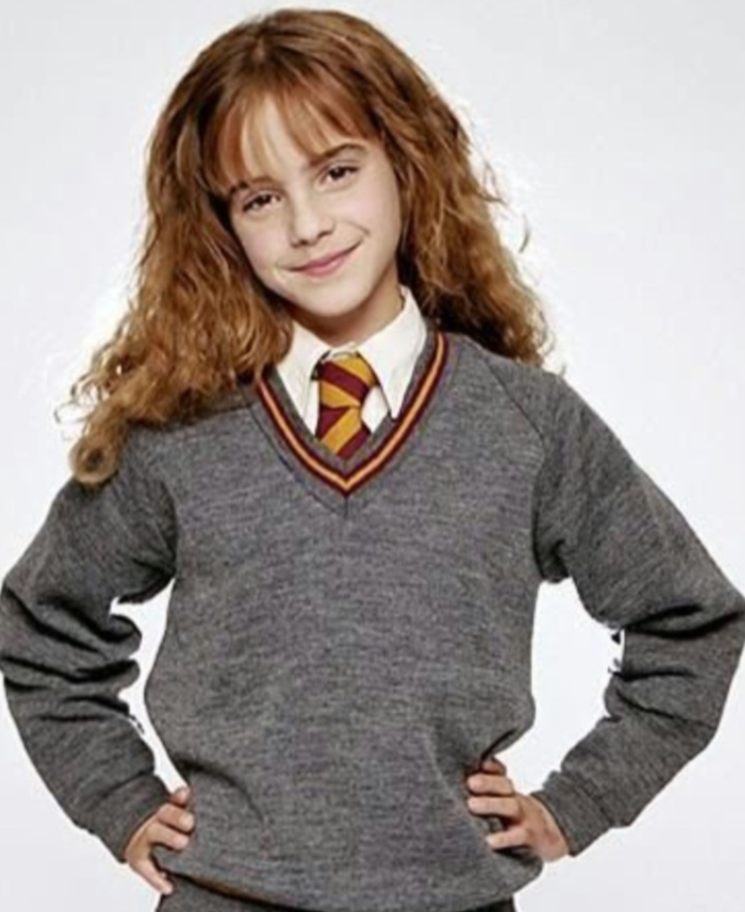 Hermione Granger · Free AI Chatbot