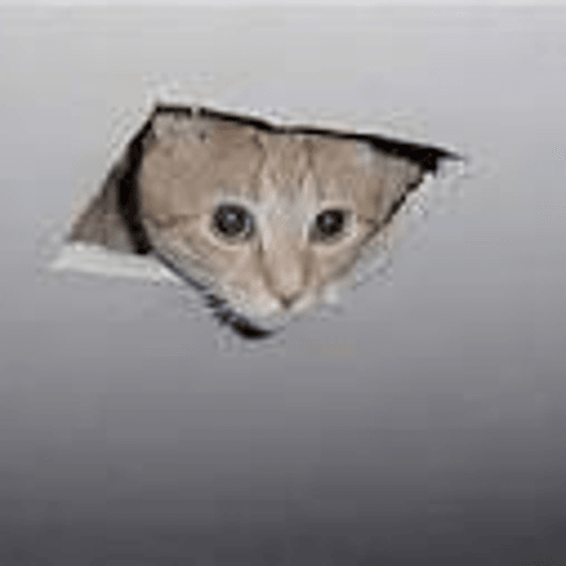 lolcat · Free AI Chatbot