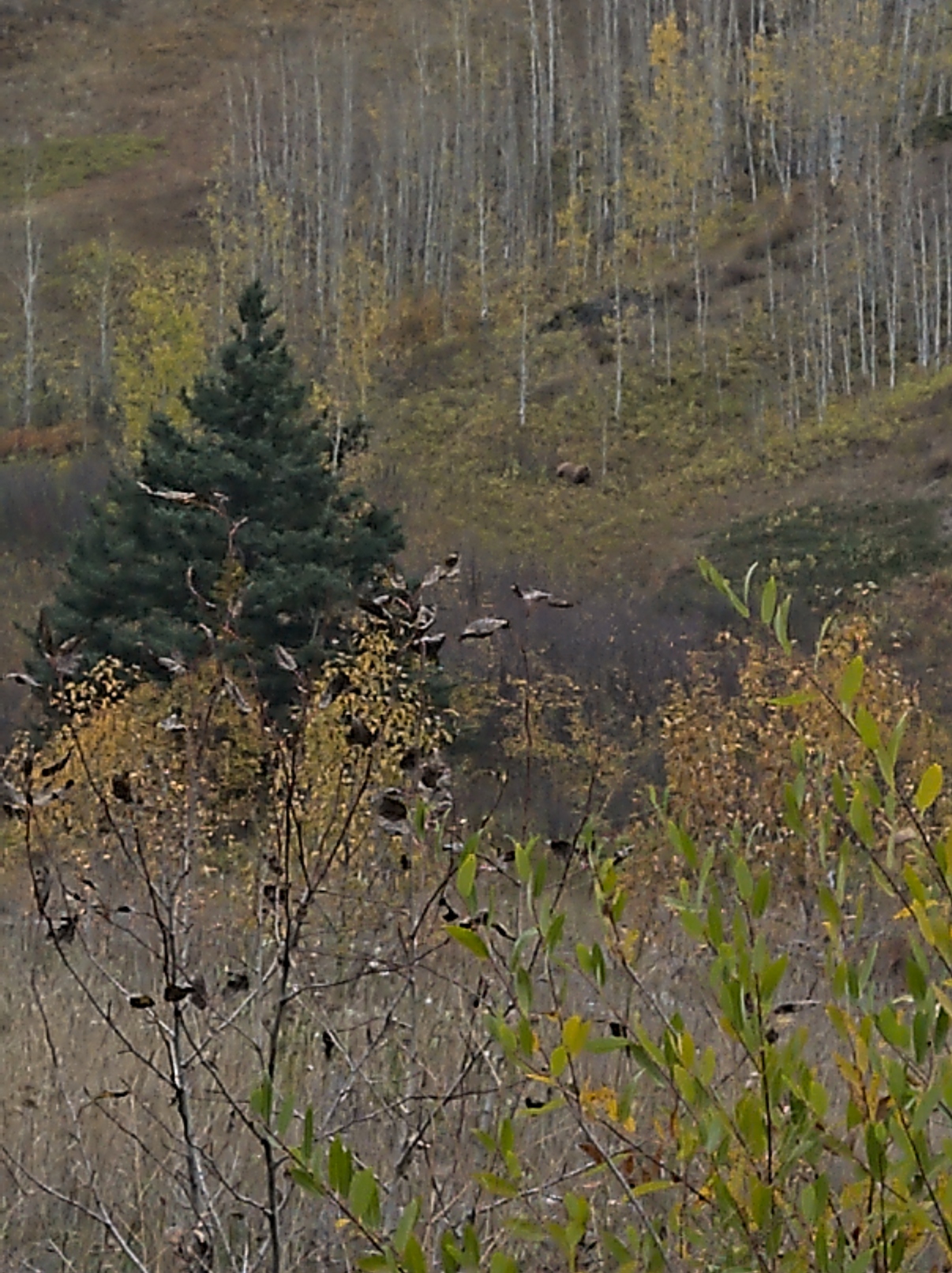 NSFW leveling adventure · Free AI Chatbot