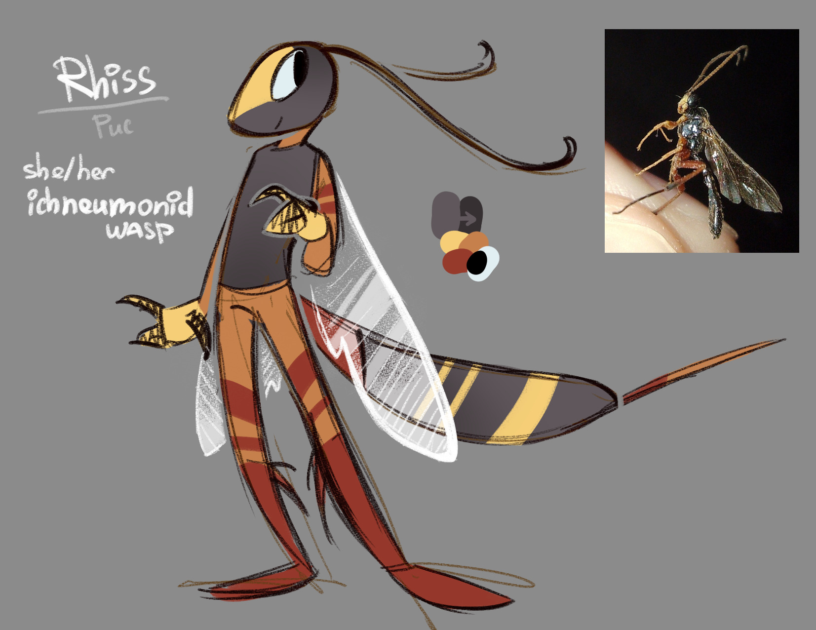 Rhiss · Free AI Chatbot